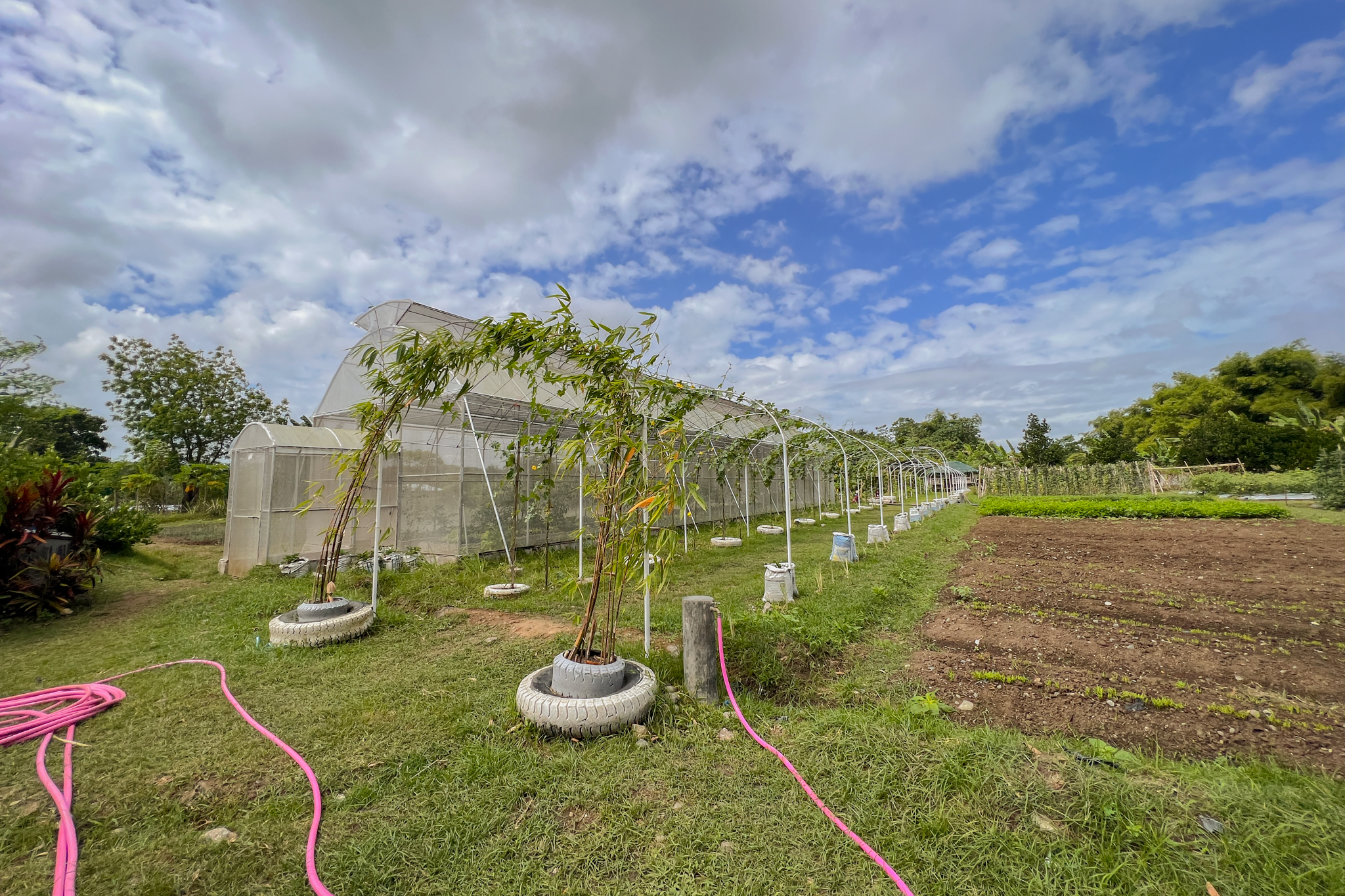 SustainABLE: Cabatuan Demo Farm cultivates more than just crops - Angat ...